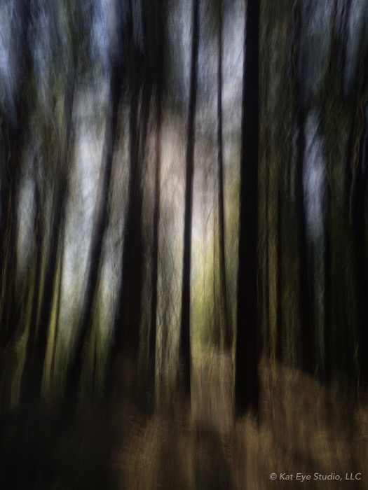 Simplifying a Scene with Slow Shutter Cam (Mobile Tutorial) - Kat Eye ...