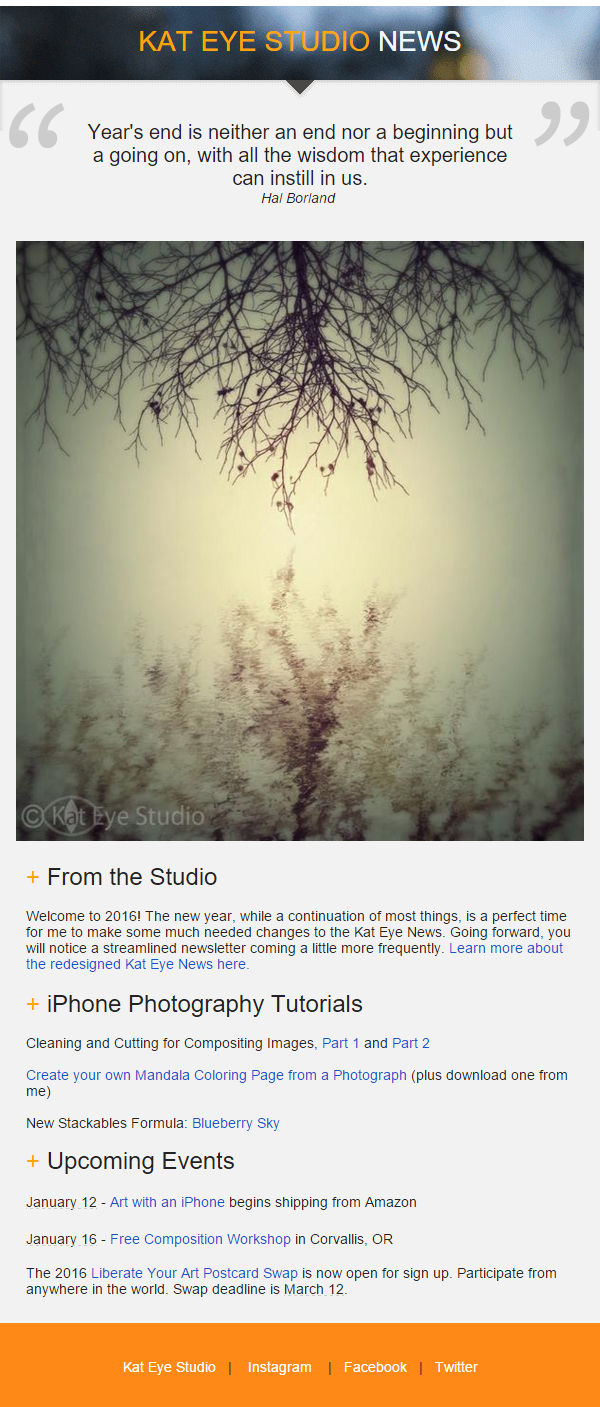 Ring in the New! - Kat Eye Studio
